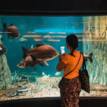 Malaysia: Aquaria KLCC Admission E-Ticket - The Value Proposition: Does It Make Sense?