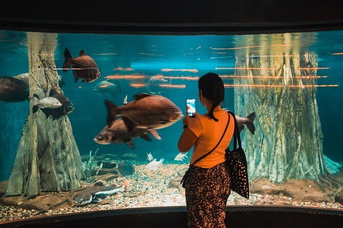 Malaysia: Aquaria KLCC Admission E-Ticket - The Value Proposition: Does It Make Sense?