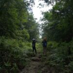 Malaysia: Gunung Panti Forest Reserve Guided Nature Tour - Is It Worth the Cost?