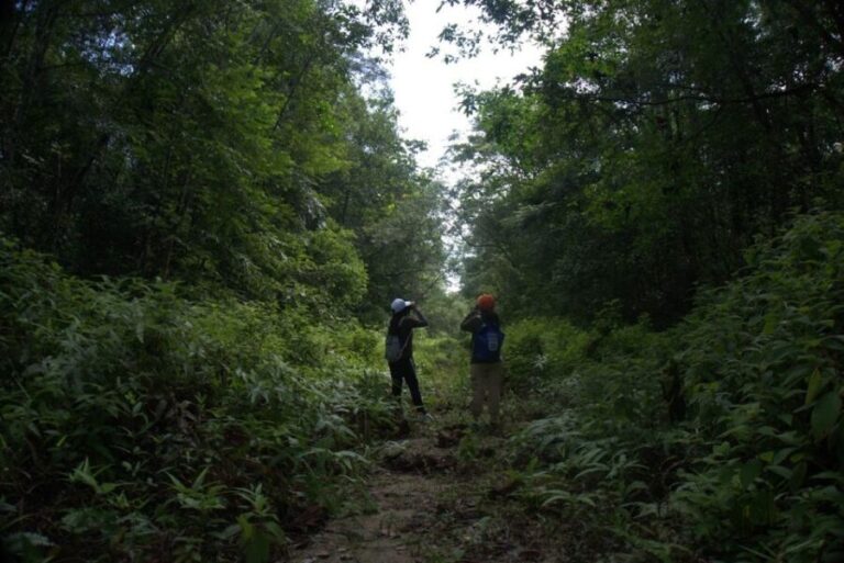 Malaysia: Gunung Panti Forest Reserve Guided Nature Tour - Is It Worth the Cost?