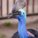 Malaysia: Langkawi Wildlife Park Entry Ticket - Who This Experience Is Best For