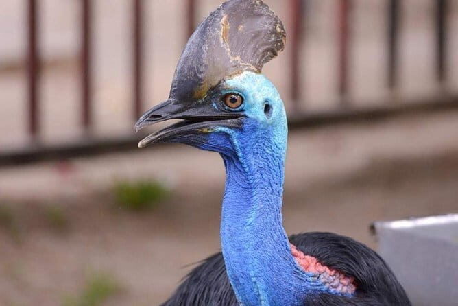 Malaysia: Langkawi Wildlife Park Entry Ticket - Who This Experience Is Best For