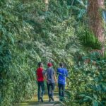 Malaysia: Penang Habitat Entry Ticket - Who Should Book This Experience?