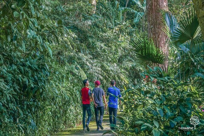 Malaysia: Penang Habitat Entry Ticket - Who Should Book This Experience?