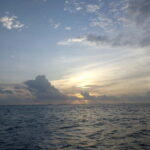 Maldives: Sunset Cruise with Dolphin Watching - What to Expect on the Sunset Dolphin Cruise
