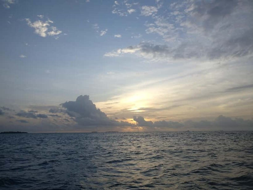Maldives: Sunset Cruise with Dolphin Watching - What to Expect on the Sunset Dolphin Cruise