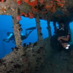 Maldives: Victory Shipwreck Scuba Dive - What You Can Expect on the Dive