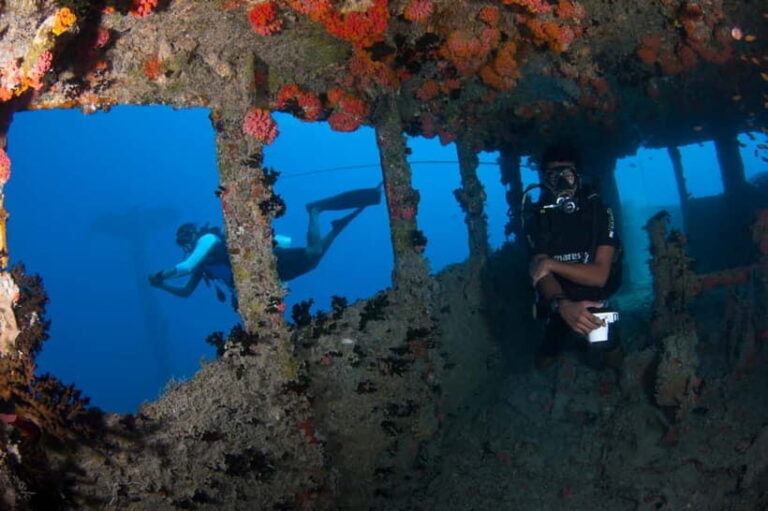 Maldives: Victory Shipwreck Scuba Dive - What You Can Expect on the Dive