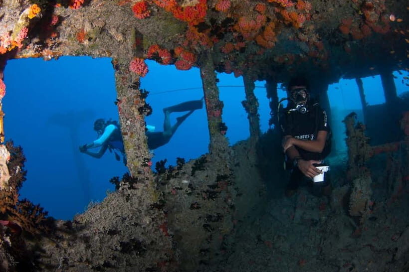Maldives: Victory Shipwreck Scuba Dive - What You Can Expect on the Dive