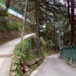 Manali Nature Walk (3 Hours Guided Trekking Experience) - Starting from the Beas River Viewpoint