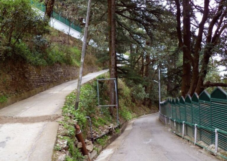 Manali Nature Walk (3 Hours Guided Trekking Experience) - Starting from the Beas River Viewpoint
