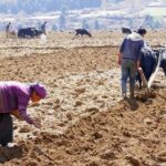 Manaslu Circuit Trekking - 17 Days - The Itinerary in Detail