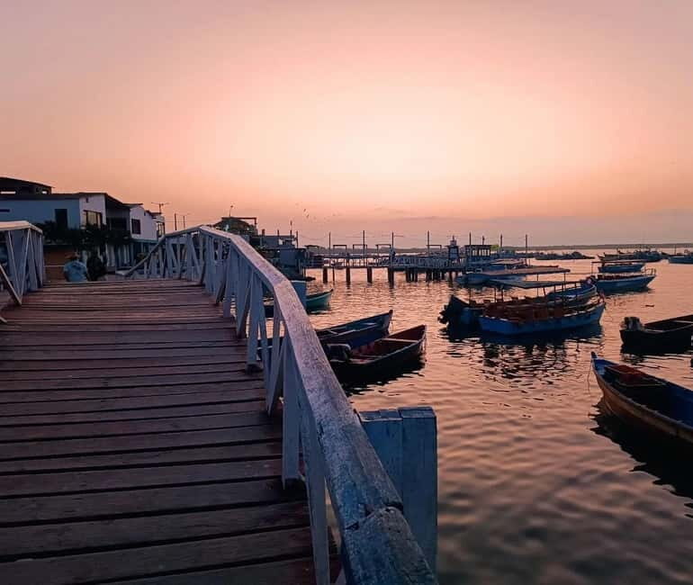 Mancora: Puerto Pizarro - Tour Mangrove Mysteries - What Does the Tour Offer Value-wise?