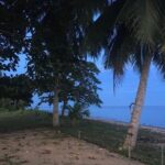 Mangrove Cruise with Fireflies Tour Including Dinner from Sandakan - The Real Value for Travelers