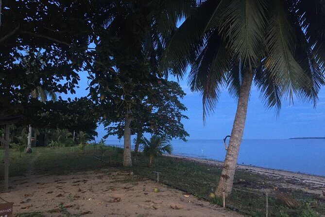 Mangrove Cruise with Fireflies Tour Including Dinner from Sandakan - The Real Value for Travelers