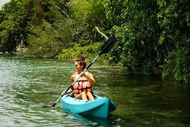 Mangrove Kayaking Adventure in Langkawi (Shared Tour) - Comparing Similar Experiences
