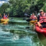 Mangrove Kayaking Adventure in Singapore - The Sum Up