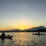 Mangrove Kayaking Experience in Borneo - Value for Money: Is It Worth $47?