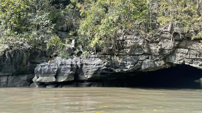 Mangrovetour Sharing Package - Lunch include in Langkawi - The Sum Up