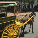 Manila City Intramuros Tour & famous highlights - Practical Considerations and What You’ll Experience