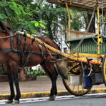 MANILA: HISTORICAL KALESA RIDE TOUR EXPERIENCE IN INTRAMUROS - What’s Included and What to Expect