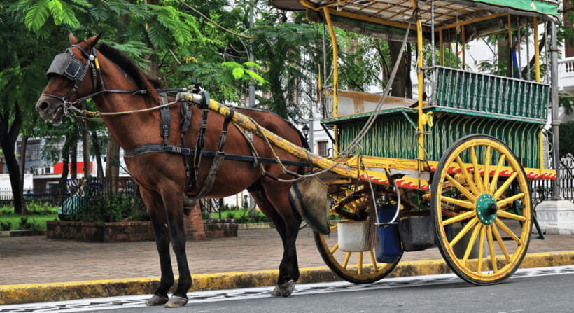 MANILA: HISTORICAL KALESA RIDE TOUR EXPERIENCE IN INTRAMUROS - What’s Included and What to Expect