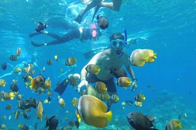 Manta Bay Snorkeling Adventure with Kelingking Beach Nusa Penida All Inclusive - The Value: Price, Inclusions, and Experience