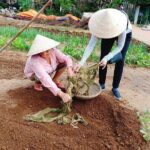 Marble Mountains &Hoi An Experience with 3 Villages & Basket Boat - The Itinerary in Detail