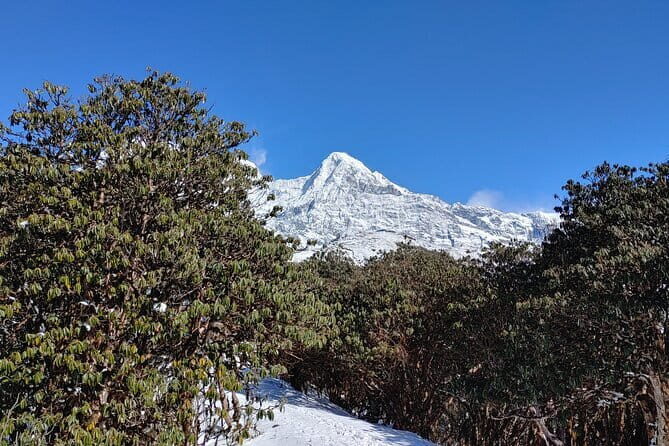 Mardi Himal Trek - Day Three: Summit Views or Base Camp
