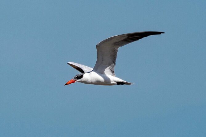 Marine Ecology Tour in La Paz Mexico - The Itinerary: What You’ll See and Experience