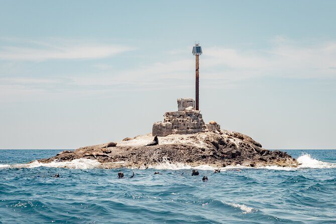 Marine Safari in La Ventana - Frequently Asked Questions