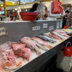 Market-2-Makan! - FAQs