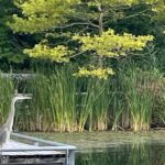 Market to Market Breakfast Tour - Authentic Experiences and Traveler Feedback