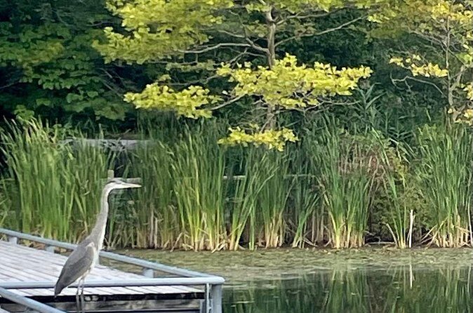 Market to Market Breakfast Tour - Authentic Experiences and Traveler Feedback