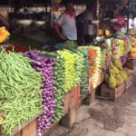 Market Tour and Cooking Class from Colombo - Authenticity and Review Insights