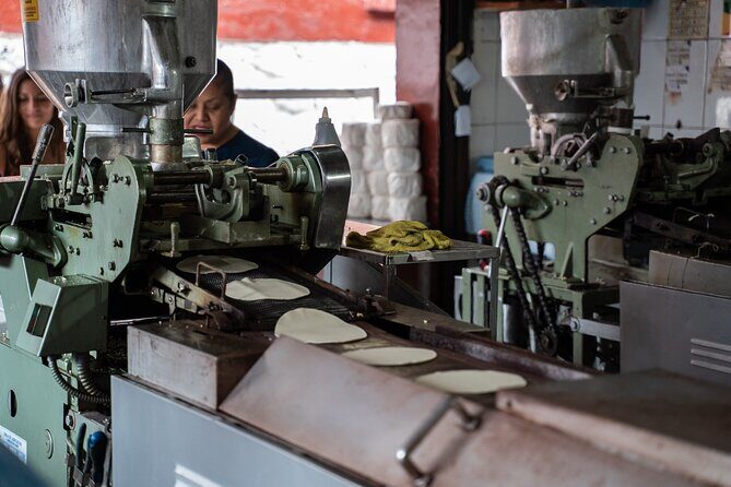 Market Visit and Mexican Cooking Class - The Value for Food and Culture Enthusiasts