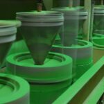 Matcha Green Tea Plantation and Matcha Factory Visit - What Sets This Tour Apart?