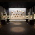 Matcha Grinding Experience and Walking Tour in Uji Kyoto - Who Will Love This Tour?