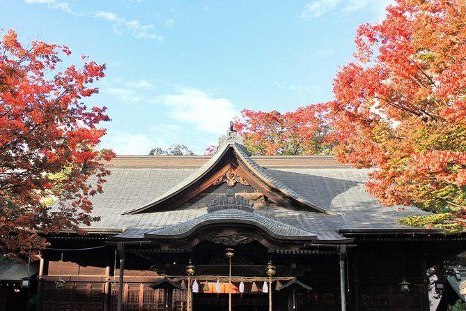 Matsumoto Private One Day Tour from Nagano - Who Will Love This Tour?