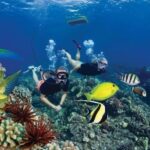 Maui: Deluxe Molokini Snorkel with Breakfast & Lunch - An In-Depth Look at the Experience