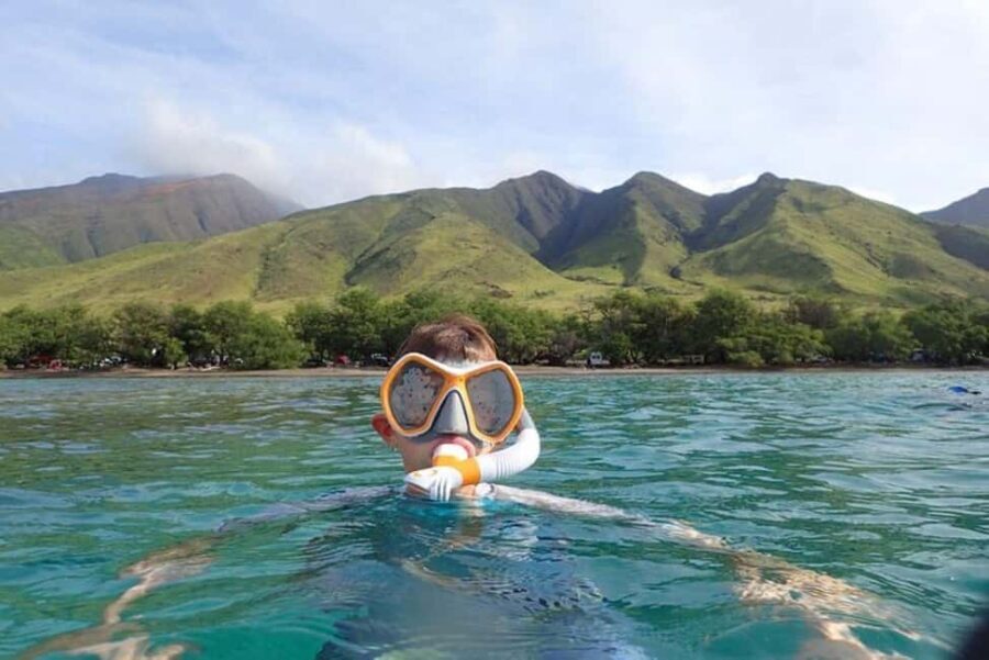 Maui: Snorkeling Tour with Gear and Instructor - The Sum Up