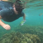 Maya Bay Phi Phi Island Snorkeling Day Tour with lunch - Phuket - Exploring Ko Phi Phi Lee and Loh Samah Bay