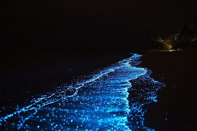 Maya Bay Sunset Cruise and Plankton Swimming From Phi Phi - Frequently Asked Questions