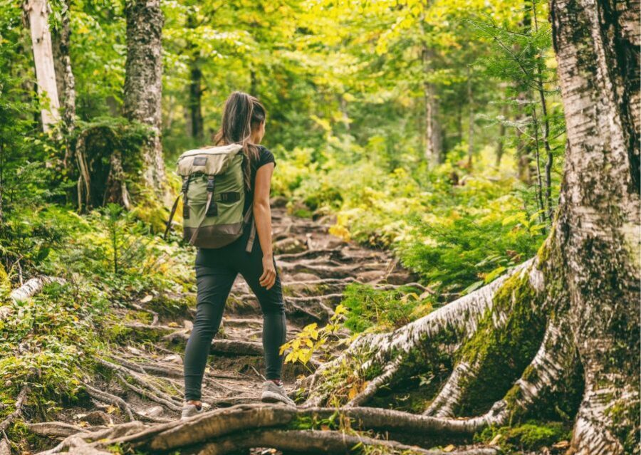 Mcleodganj Nature Trek (3 Hours Guided Walking Tour) - Value for Money