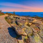 MDI Private Discovery Tour - Explore Beyond Acadia (five hours) - Who Will Love This Tour?