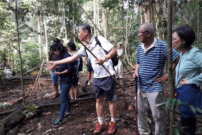 Medan - Bukit Lawang Fullday Tour - Exploring the Itinerary: What to Expect