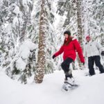 Medicine Trail Snowshoe Tour - Connecting with Nature in a Quiet, Respectful Way