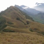Meesapulimala Sunrise trek( By Munnar Info) - Authentic Experiences and Authentic Guides