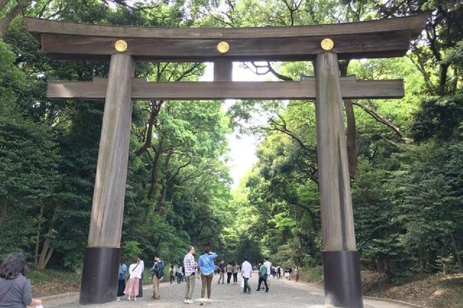 Meiji Jingu Shrine Half-day Tour by public transportation - Practicalities and What to Expect