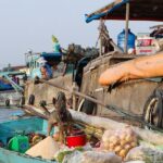 Mekong day tour Visit Cai Rang Floating Market pick up in Sai Gon - Is This Tour Right for You?